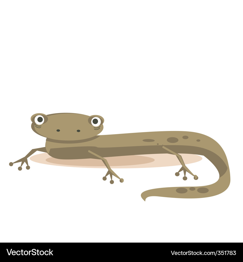 Newt Royalty Free Vector Image - VectorStock