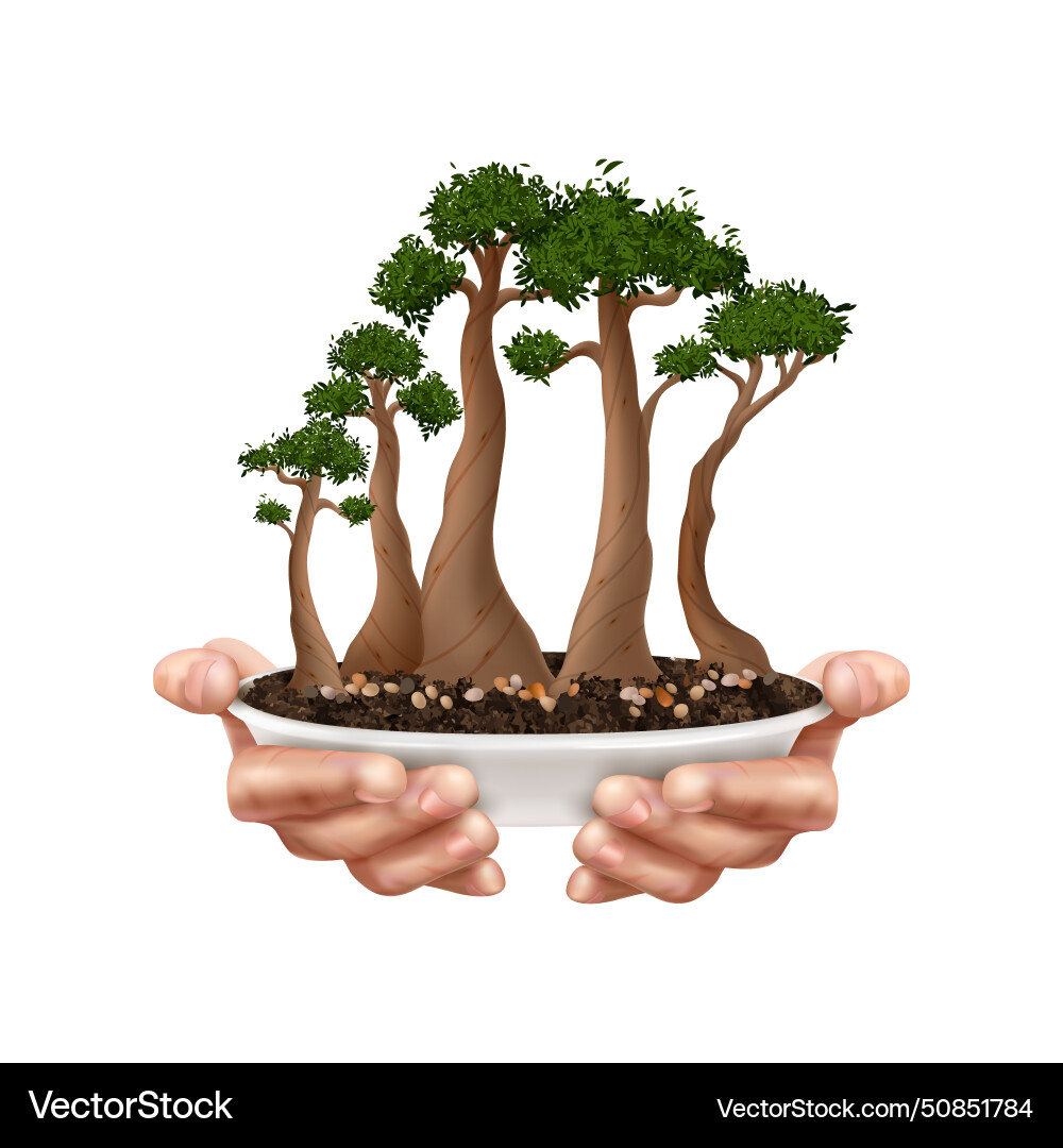 Bonsai tree composition Royalty Free Vector Image