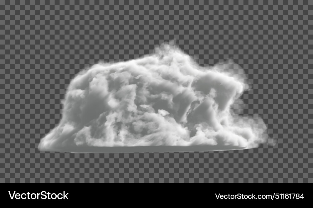 Single cloud on a transparent background Vector Image