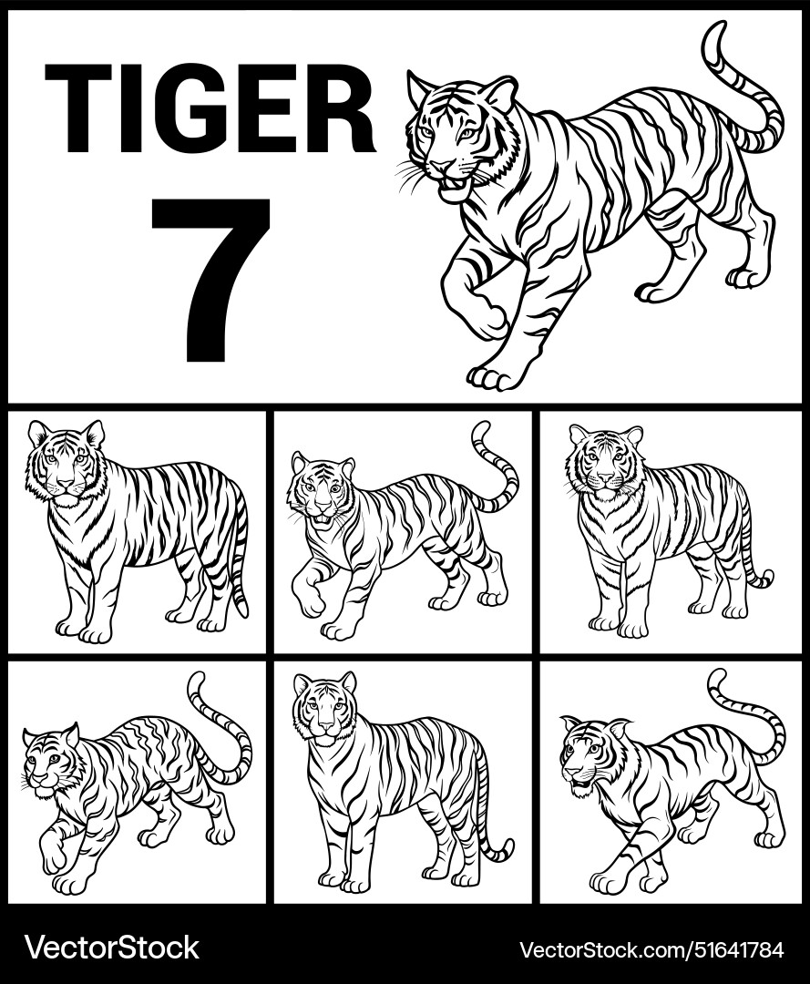 Tiger outline set detailed Royalty Free Vector Image