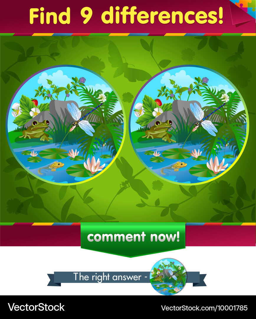 Frog dragonfly 9 differences Royalty Free Vector Image