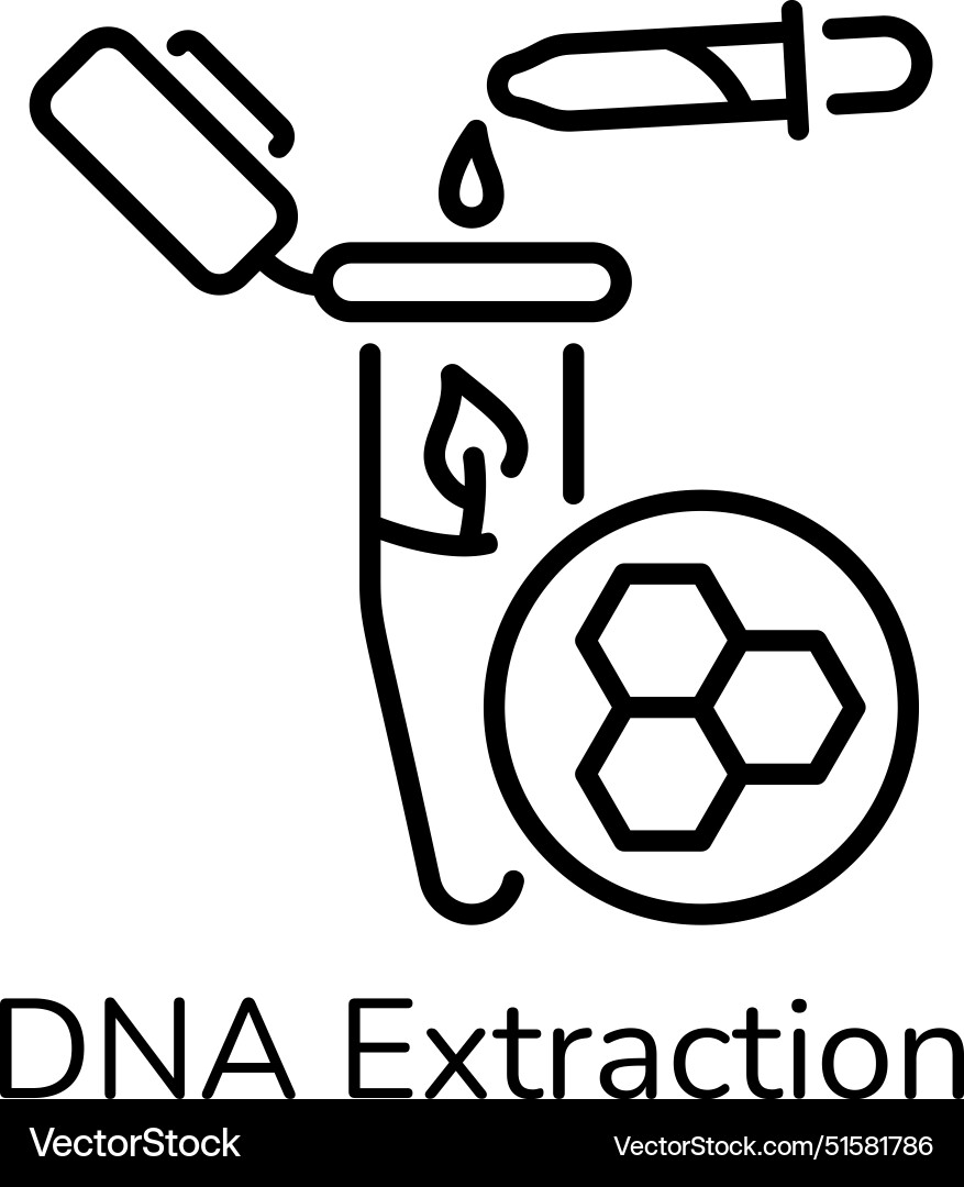 Dna Extraction Royalty Free Vector Image Vectorstock