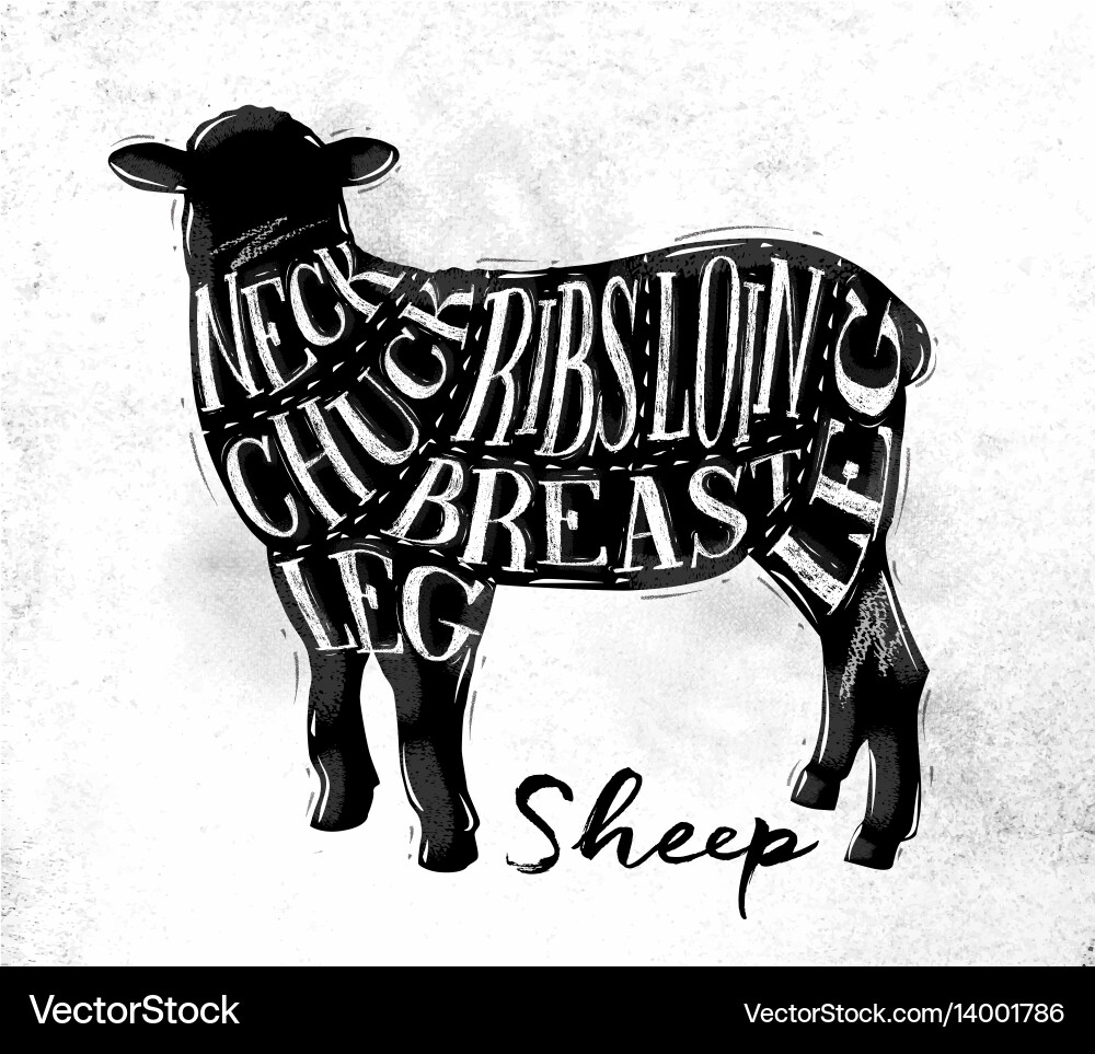 Sheep lamb cutting scheme Royalty Free Vector Image