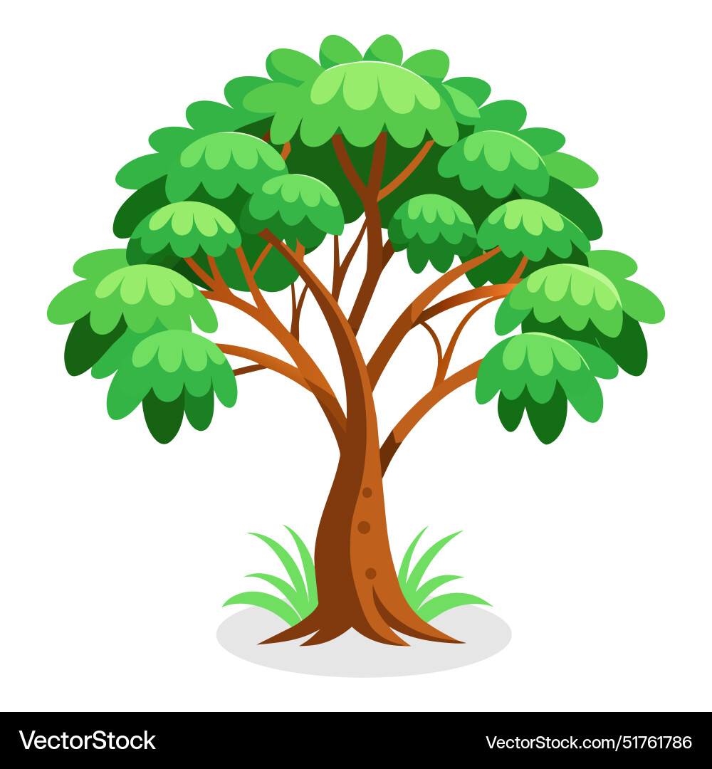 Tamarind small tree isolated flat Royalty Free Vector Image