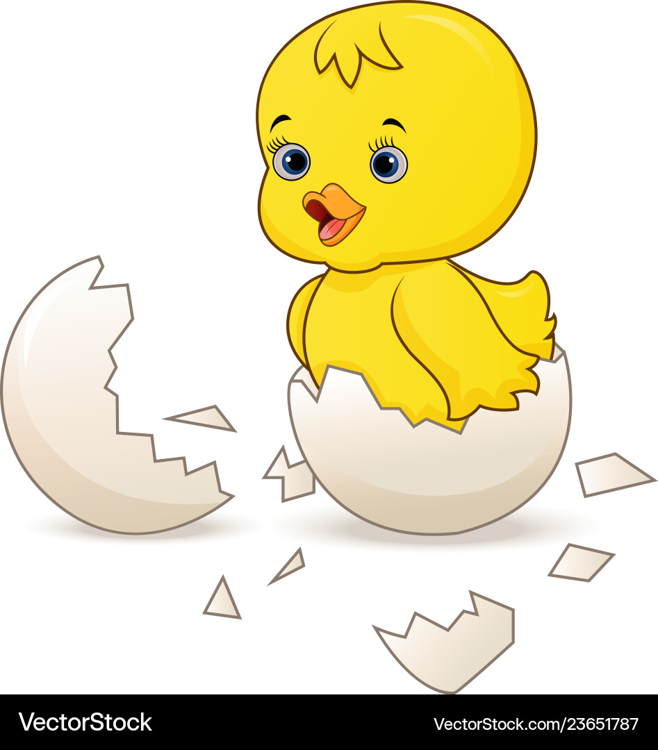 Cute little cartoon chick hatched from an egg Vector Image