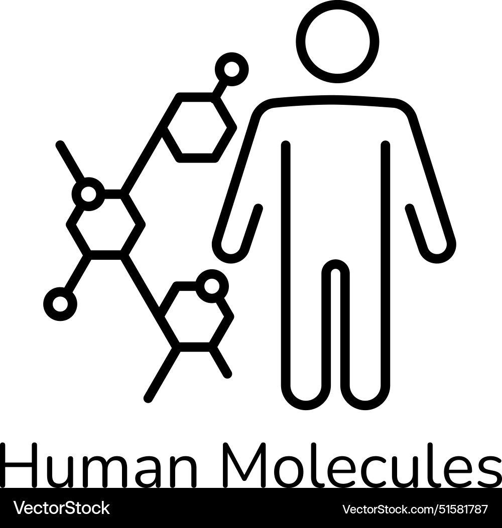 Human molecules Royalty Free Vector Image - VectorStock
