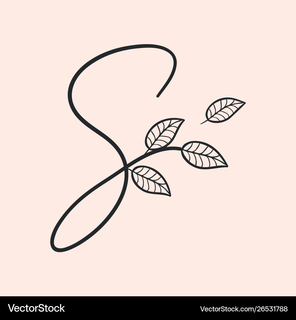 Elegant Floral S Monogram Royalty Free Vector Image