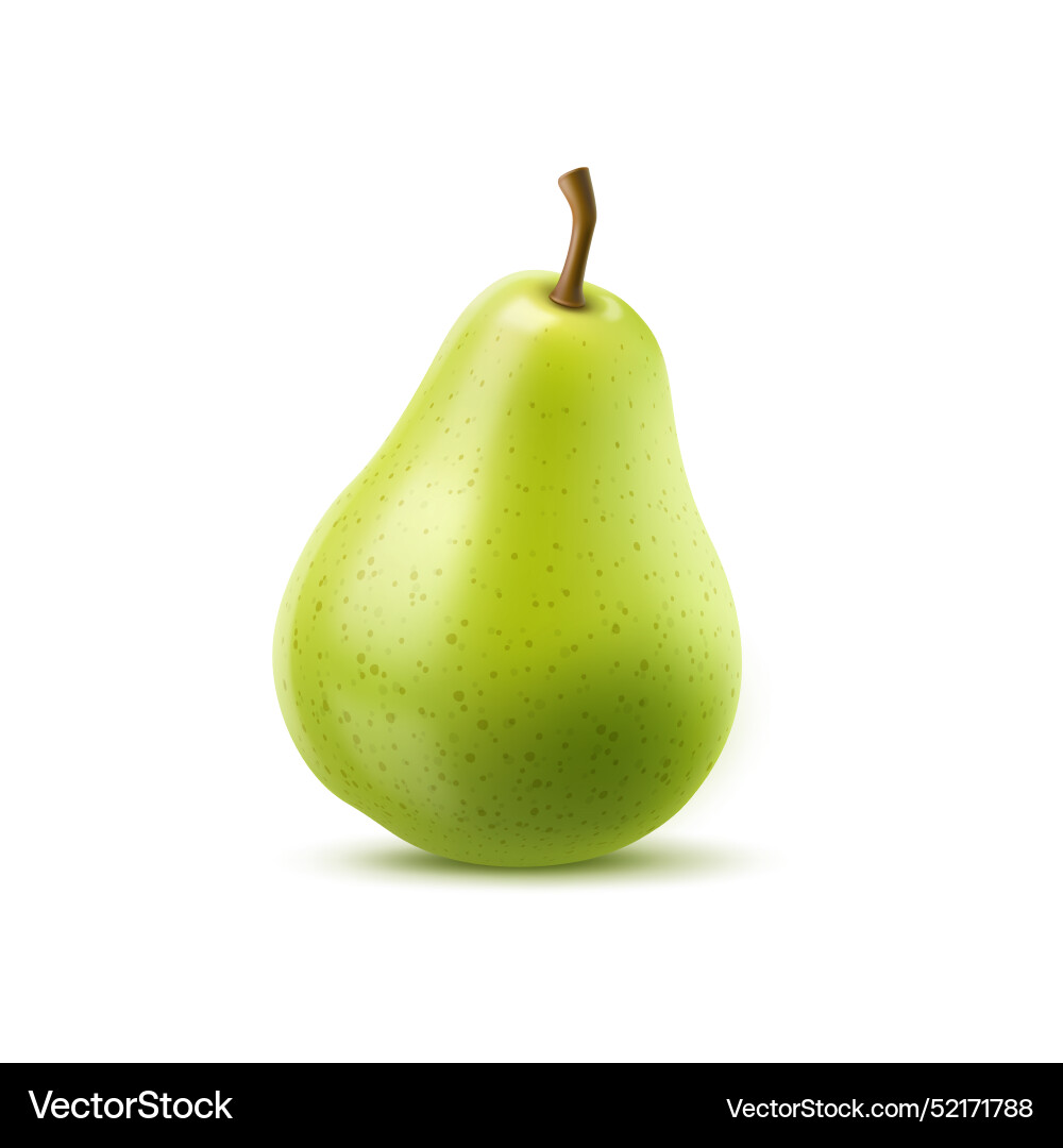 Raw realistic green pear fruit ripe whole 3d Vector Image