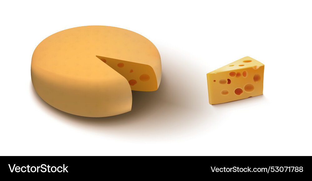 Realistic cheese head and piece Royalty Free Vector Image