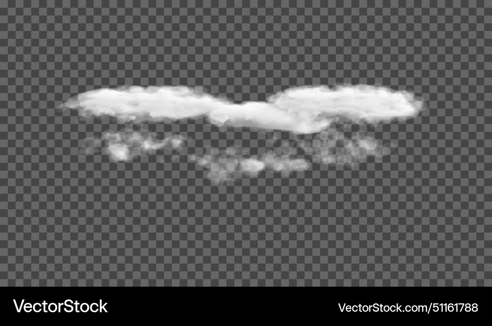 Single cloud on a transparent background Vector Image