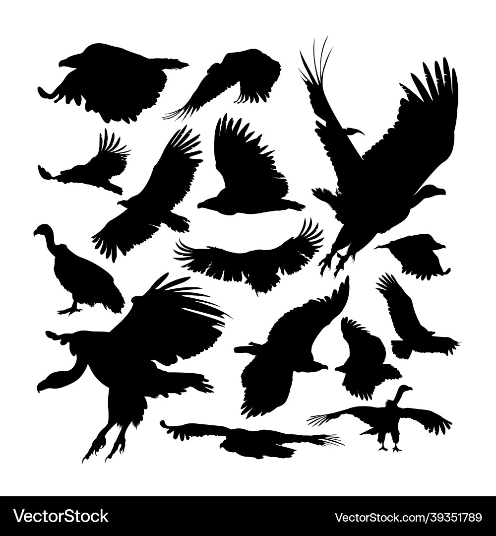 Big griffon vulture animal silhouettes Royalty Free Vector