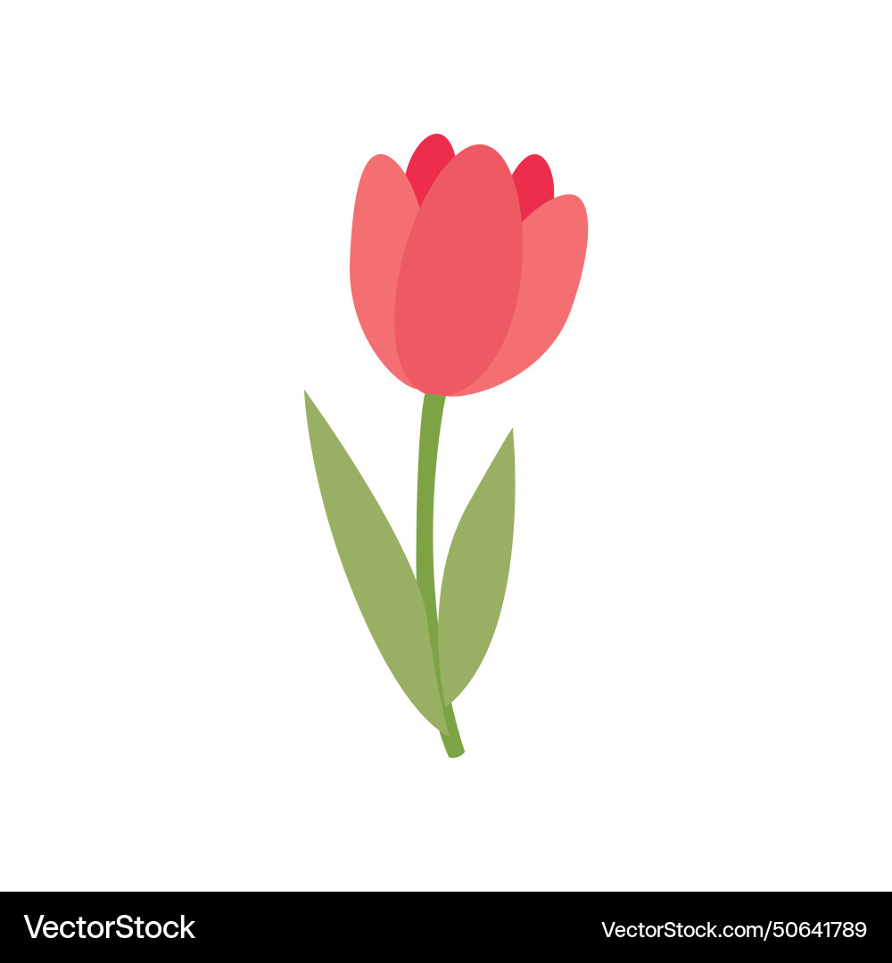 Hand drawn cute spring tulip flower Royalty Free Vector