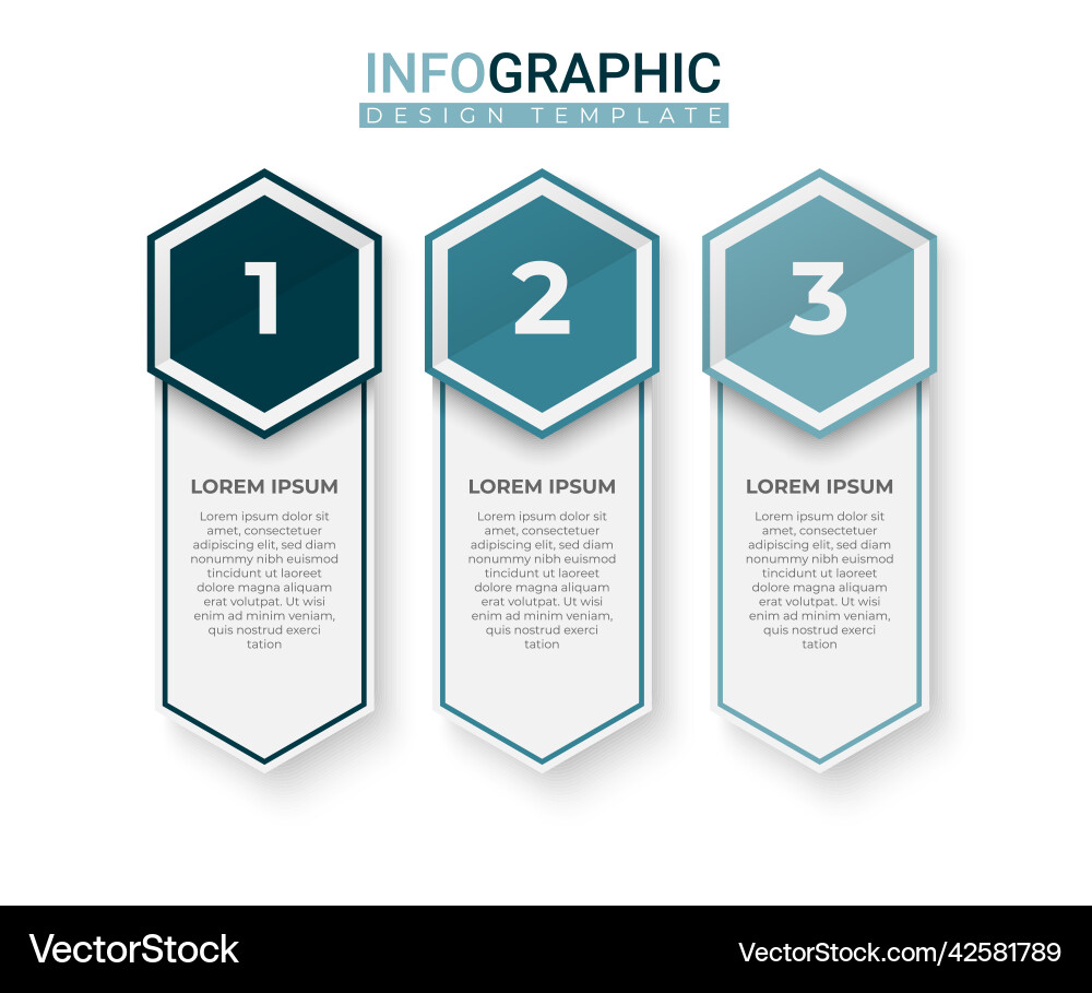 Modern vertical label infographic in 3 steps Vector Image