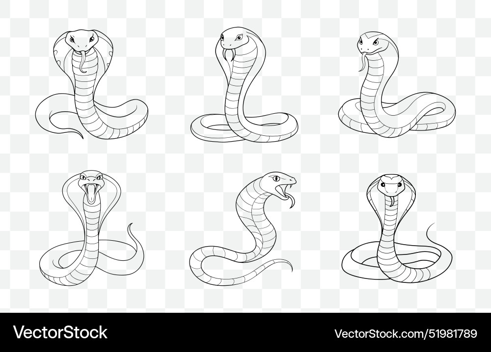 Print king cobra line art set Royalty Free Vector Image