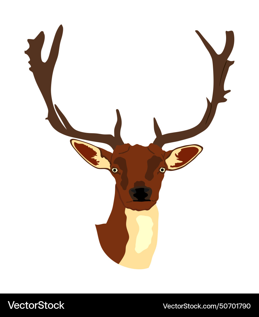 Deer head isolated on white Royalty Free Vector Image