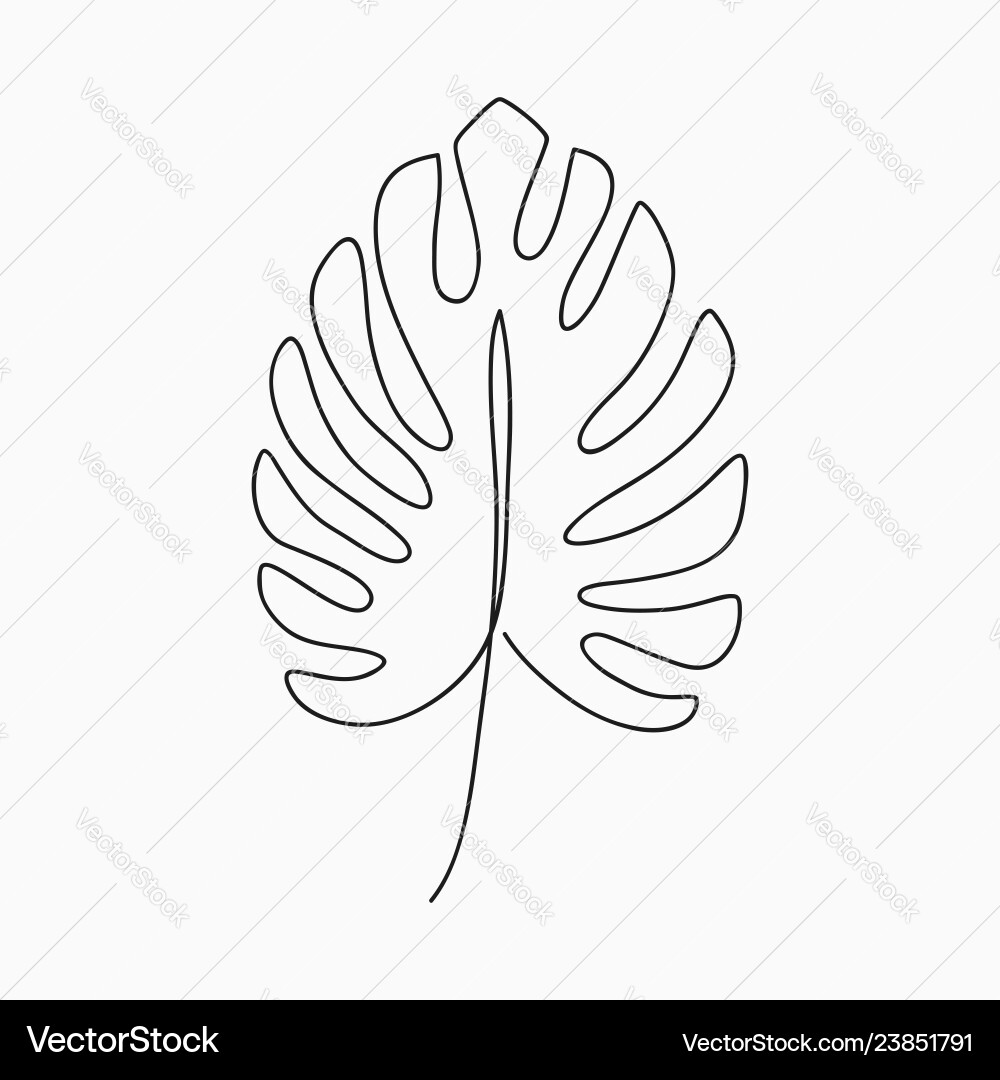 Monstera one line Royalty Free Vector Image - VectorStock