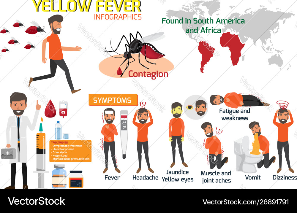 Yellow fever infographic elements symptoms Vector Image