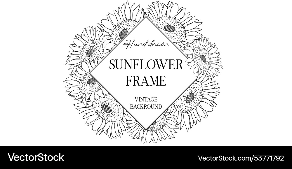 Hand drawn botanical frame with sunflowers Vector Image