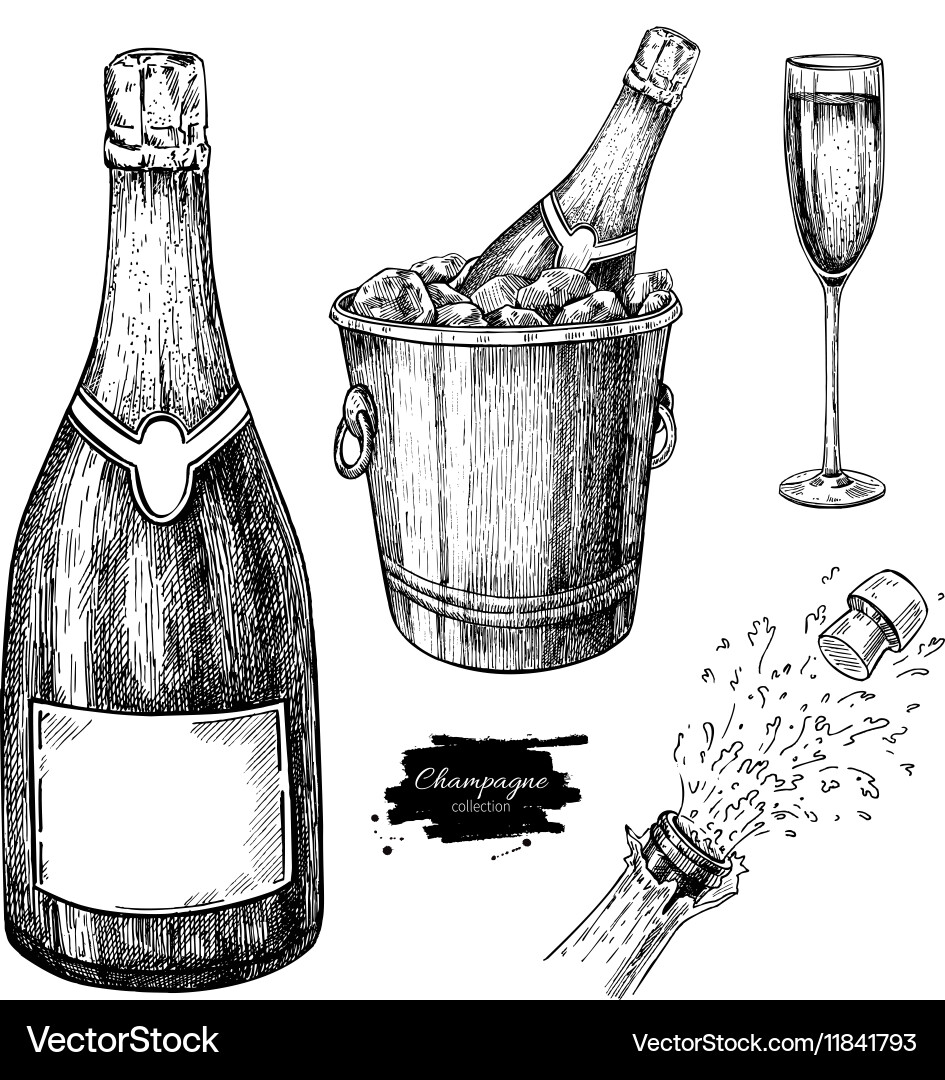 Celebratory Champagne Toast Royalty Free Vector Image