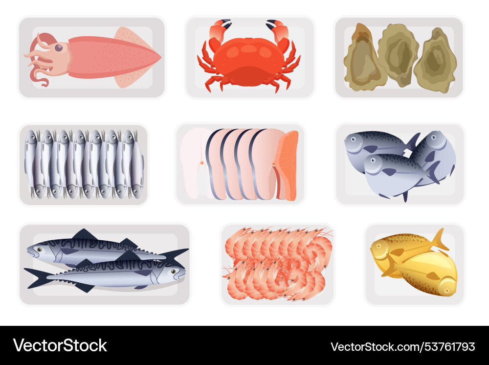 Frozen or chilled seafood in plastic containers Vector Image