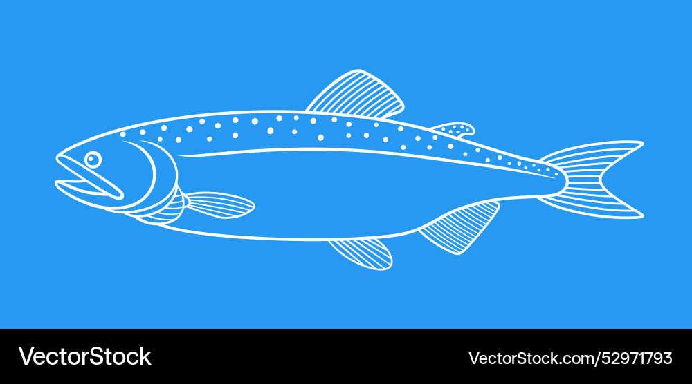 Haddock Royalty Free Vector Image - VectorStock