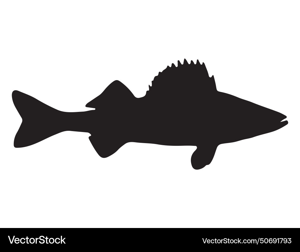 Walleye fish silhouette art Royalty Free Vector Image