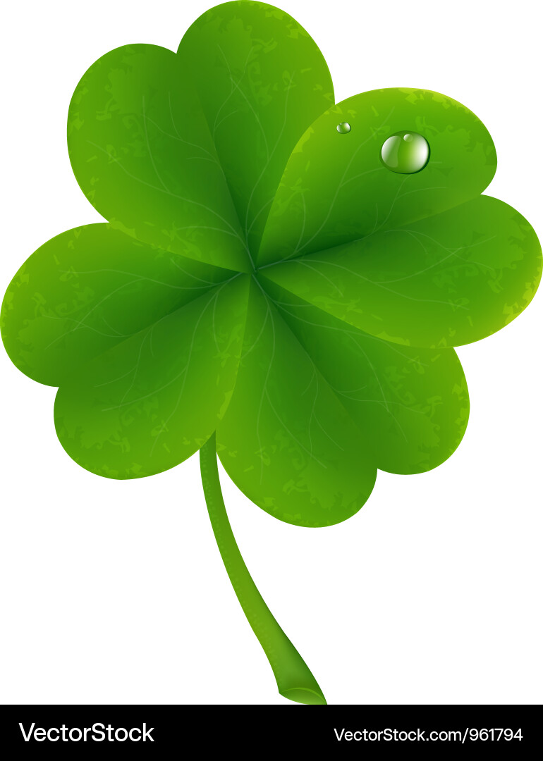 Clover leaf Royalty Free Vector Image - VectorStock