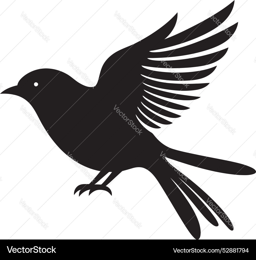 Geometric albatross design hawk in spotlight Vector Image