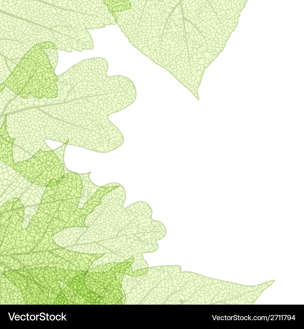 Leaf skeletons autumn template eps 10 Royalty Free Vector