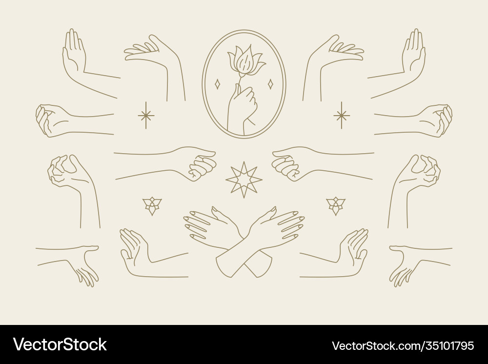 Female hands gestures collection line art hand Vector Image
