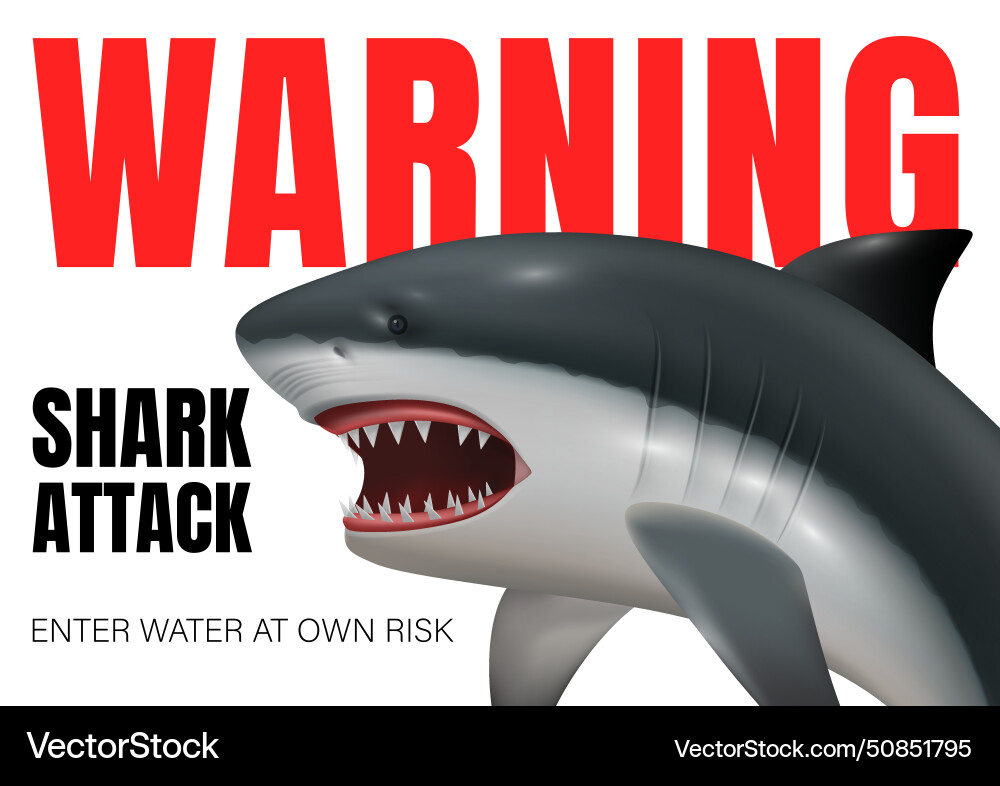 Realistic shark poster Royalty Free Vector Image