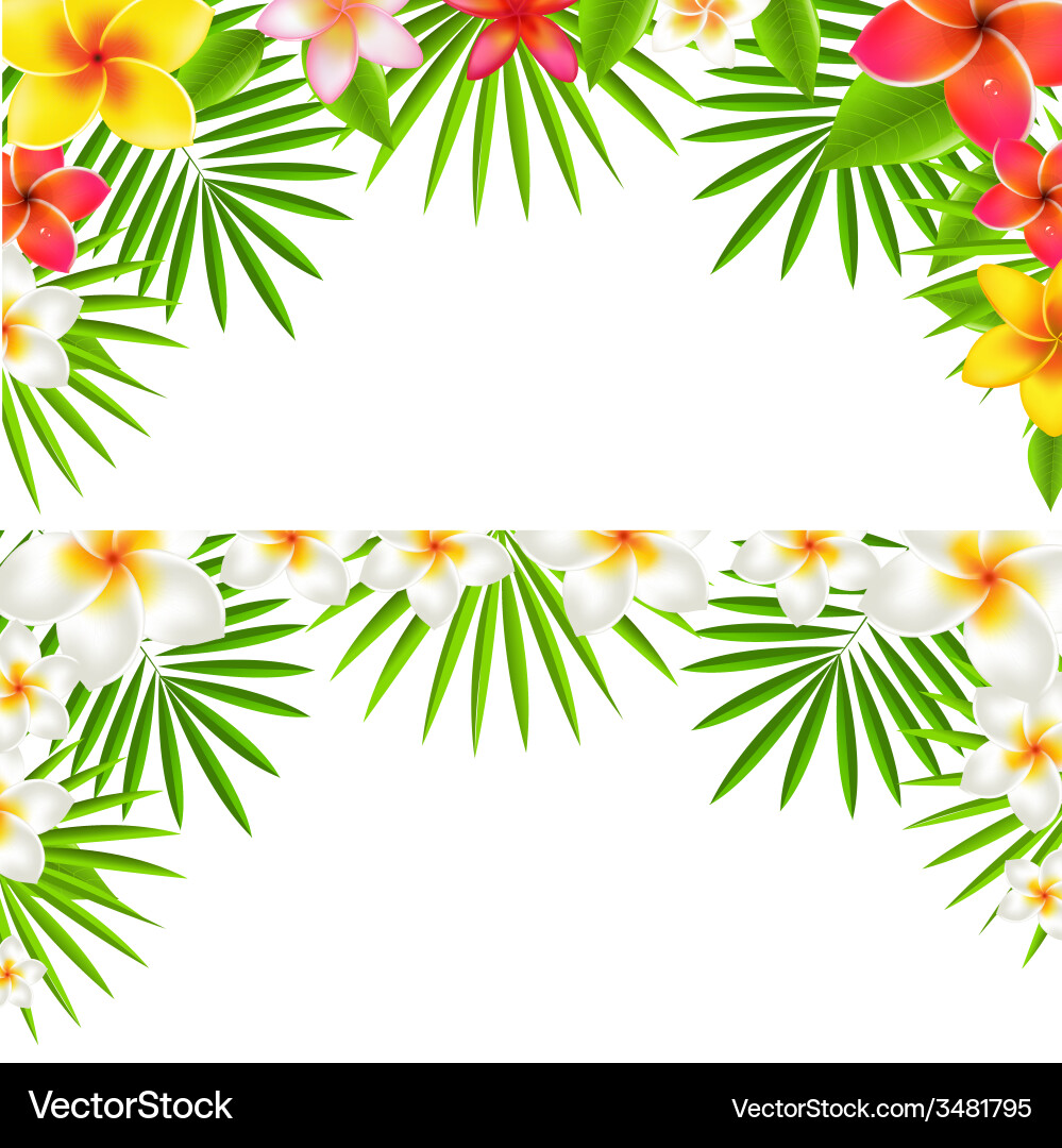 Tropical flowers border set Royalty Free Vector Image