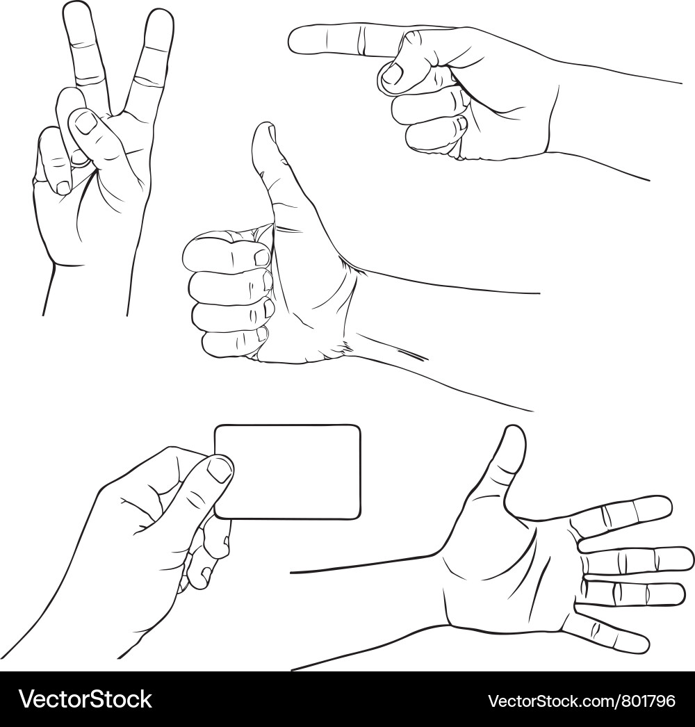 Hands signs Royalty Free Vector Image - VectorStock