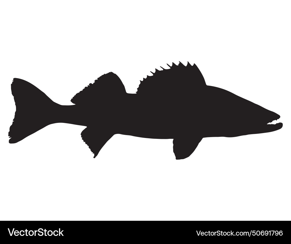 Walleye fish silhouette art Royalty Free Vector Image