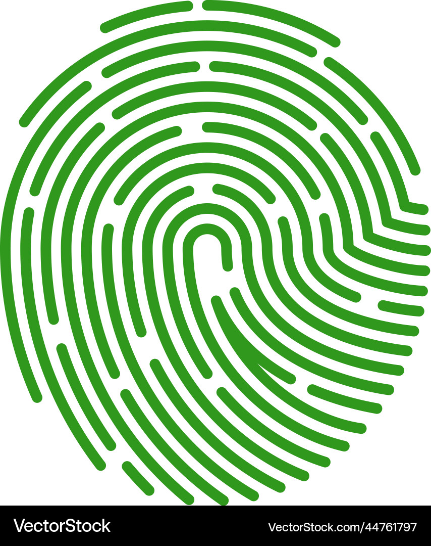 Green fingerprint approved authentication Vector Image
