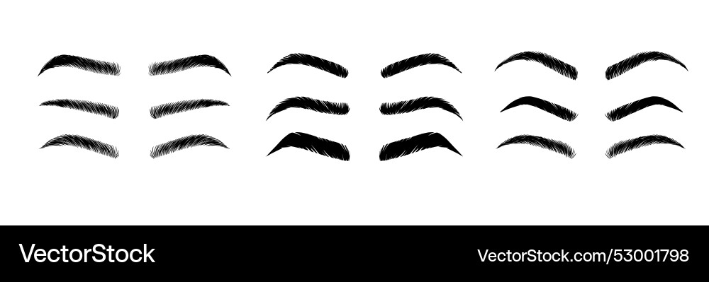 Isolated eyebrows set cartoon eyebrow makeup Vector Image