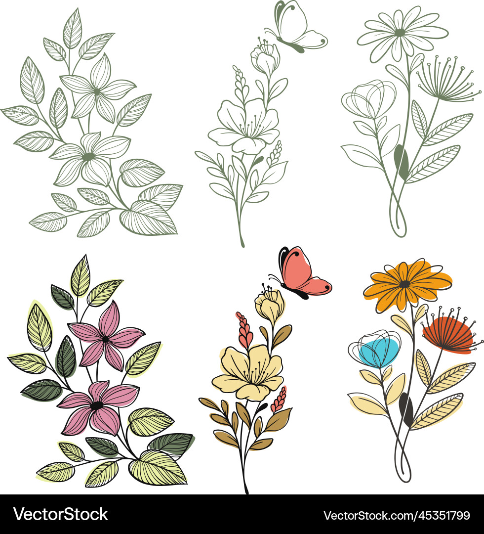 Boho flower and leaf collections Royalty Free Vector Image