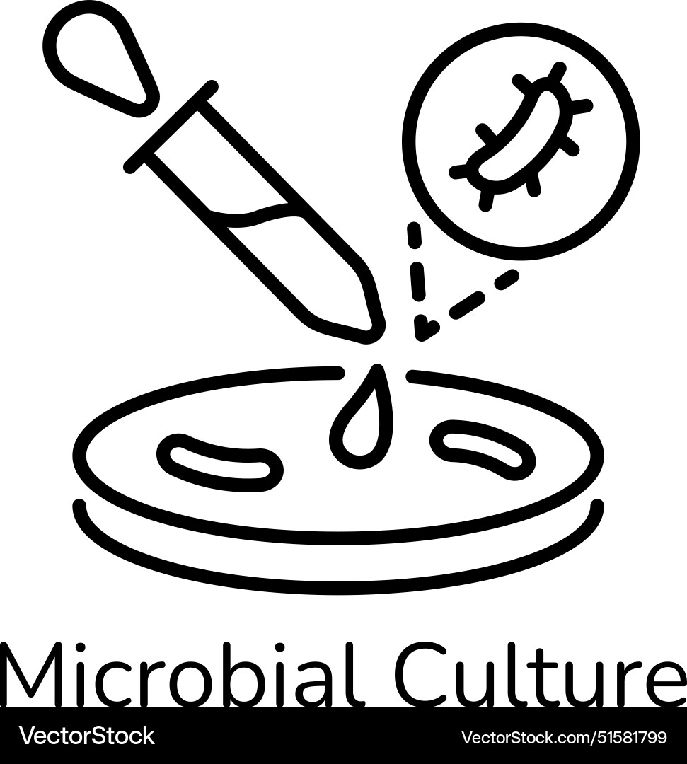 Microbial culture Royalty Free Vector Image - VectorStock