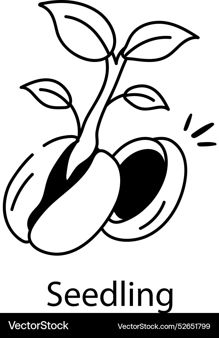 Seedling Royalty Free Vector Image - VectorStock