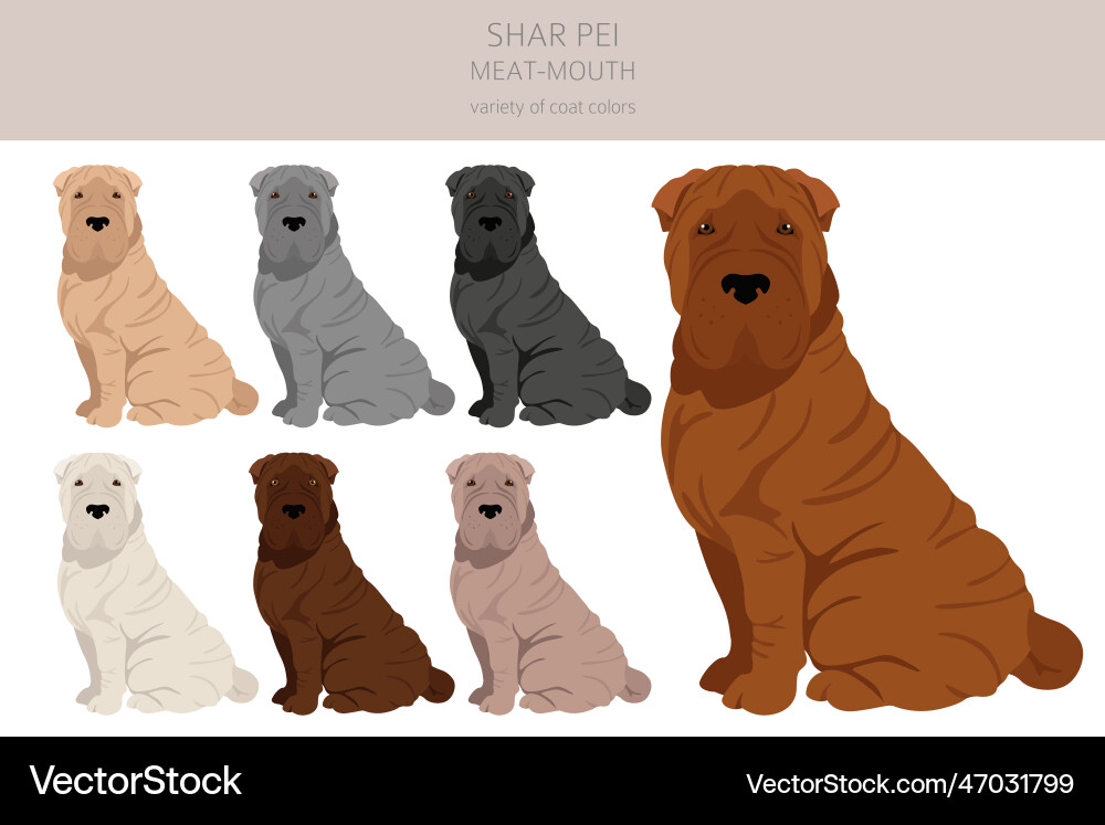 Shar pei modern meat mouth clipart different Vector Image
