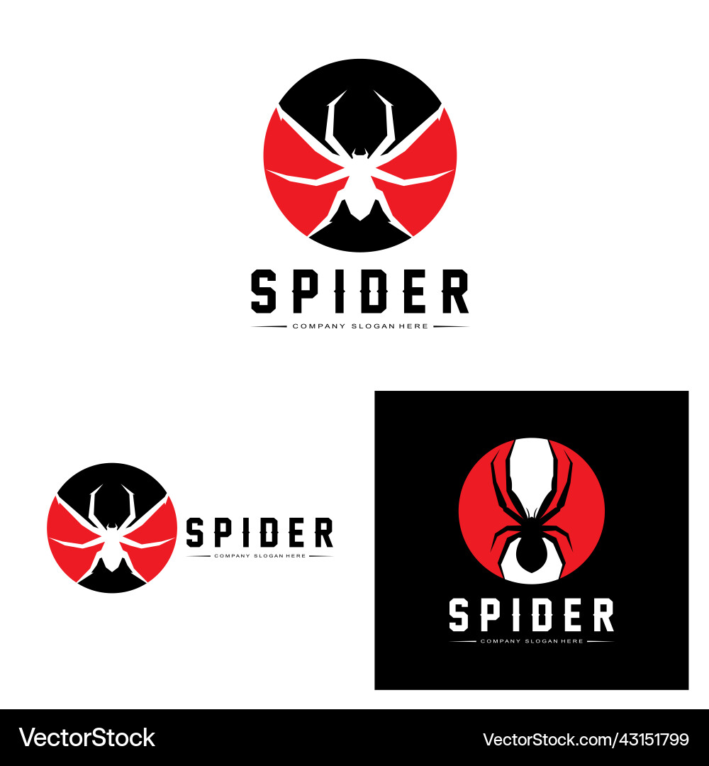 Spider and cobweb logo iconsanimals making Vector Image