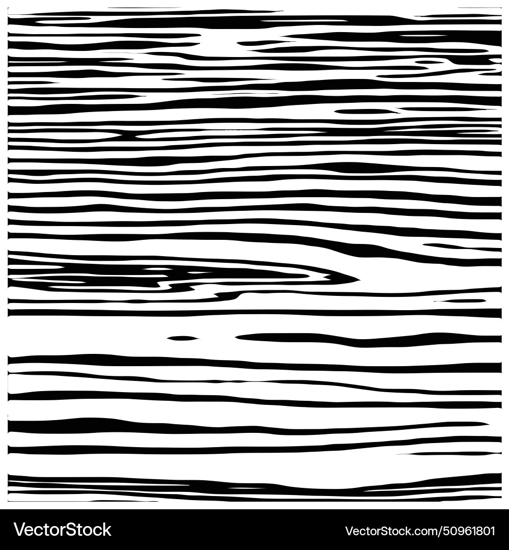 Classic monochromatic weathered wood texture Vector Image