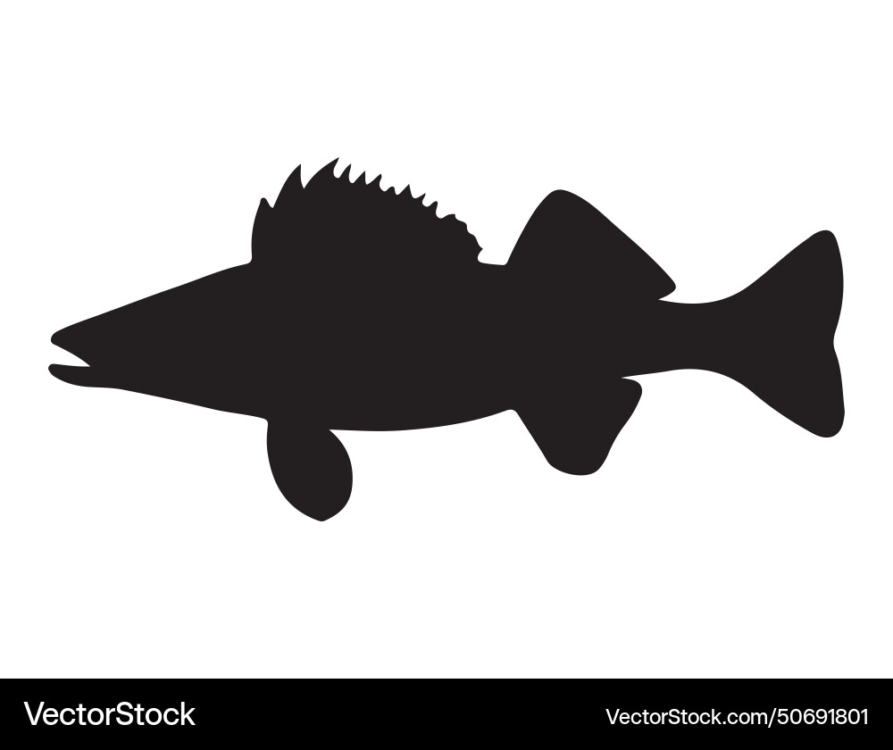 Walleye fish silhouette art Royalty Free Vector Image