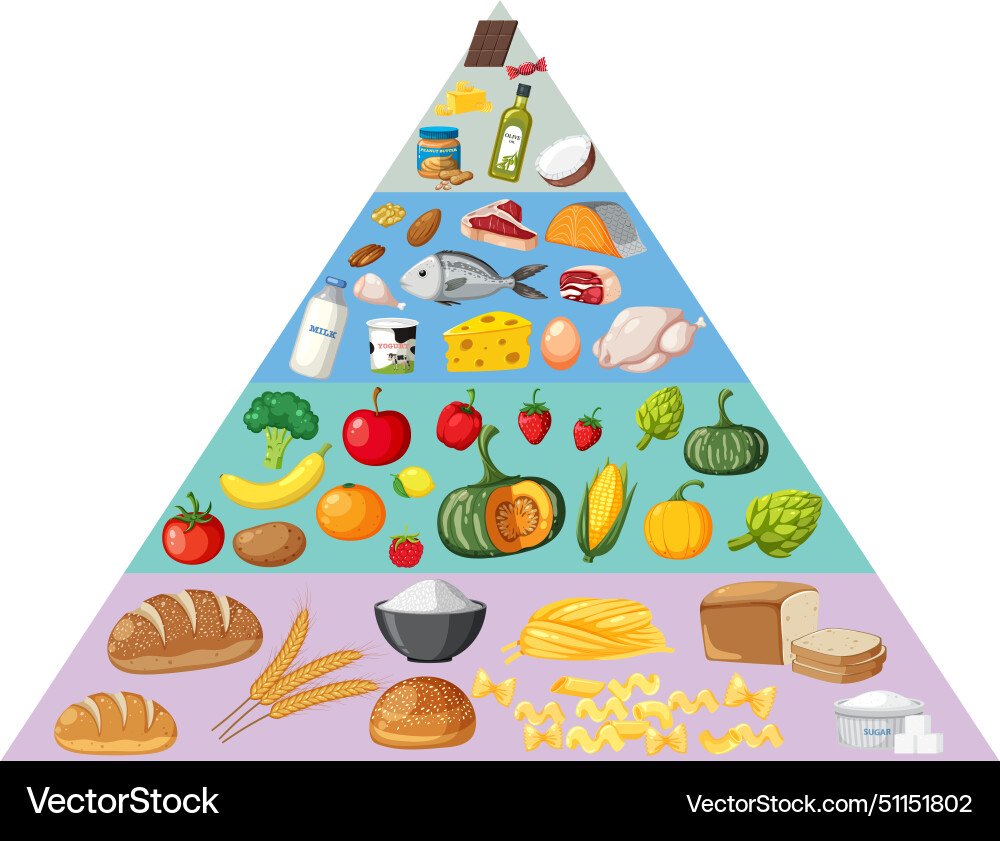 Food pyramid with various groups Royalty Free Vector Image