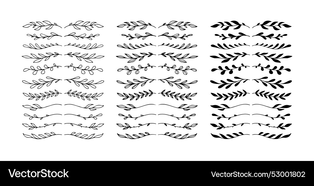 Hand drawn floral text divider isolated doodle Vector Image