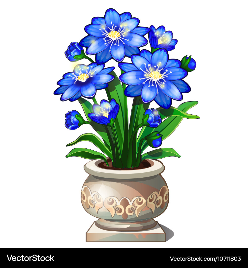 Bright blue flowers in beautiful ceramic pot Vector Image