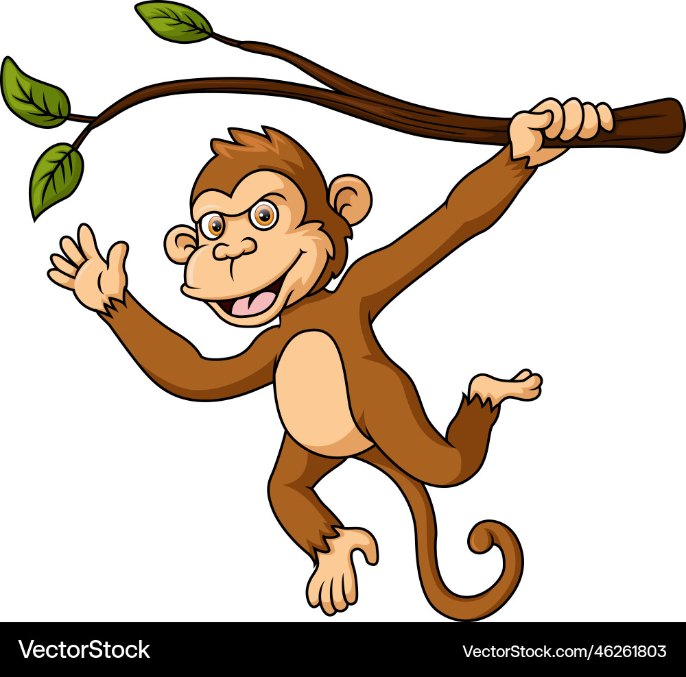 Cute little monkey cartoon hanging on tree branch Vector Image