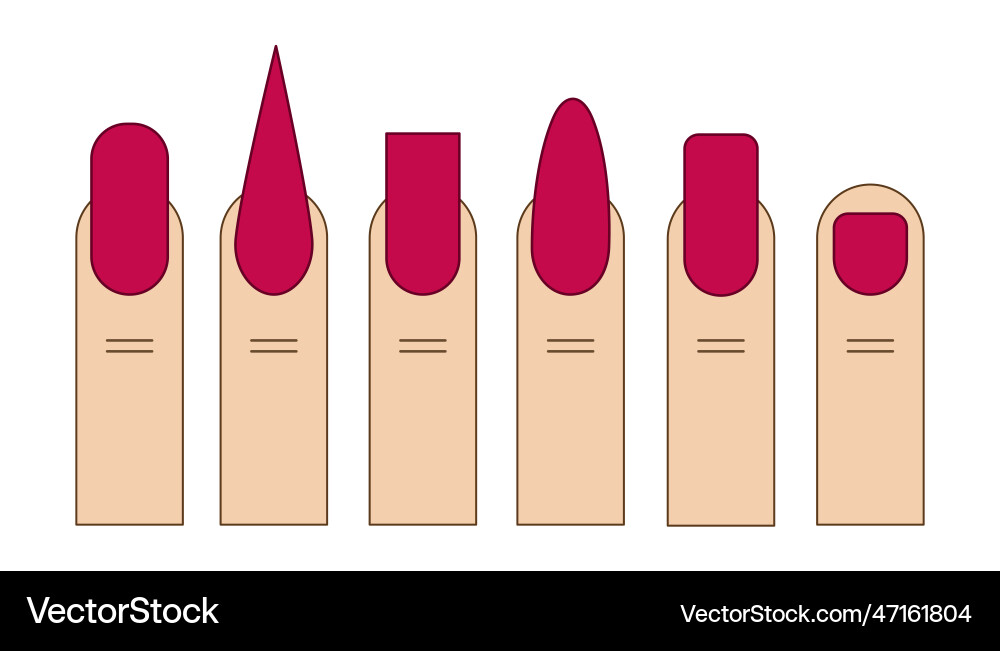 Beliebte Nagelformen verschiedene Arten Lizenzfreier Vektor