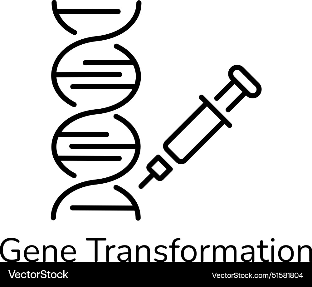 Gene transformation Royalty Free Vector Image - VectorStock