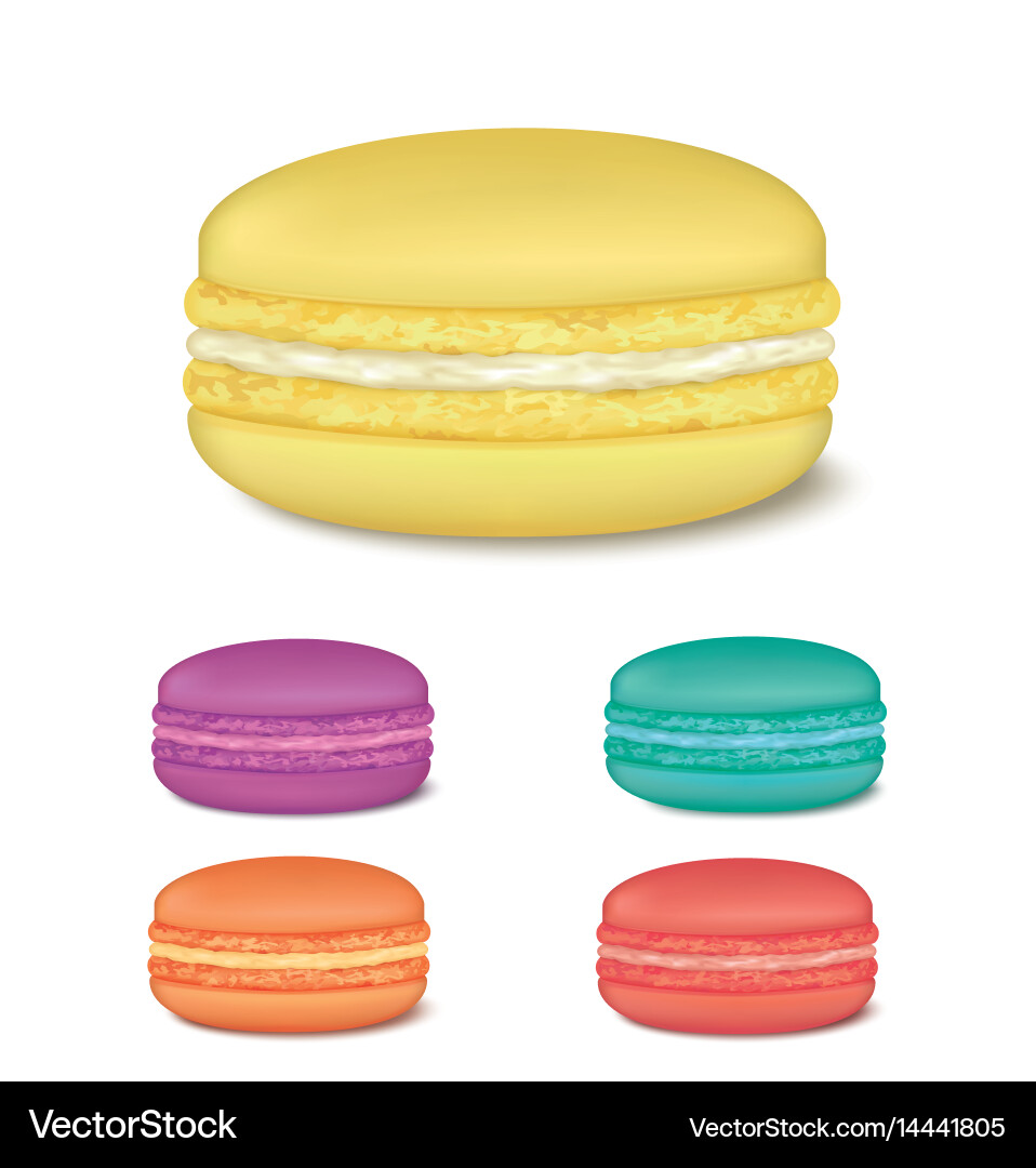 Colourful french macaroons Royalty Free Vector Image